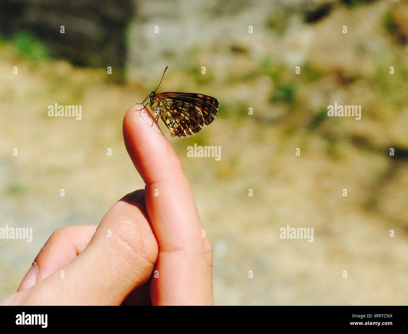 Finger And Butterfly High Resolution Stock Photography and Images - Alamy