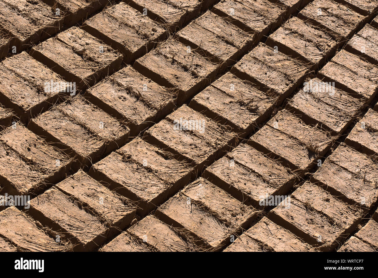 Drying Mud High Resolution Stock Photography and Images - Alamy