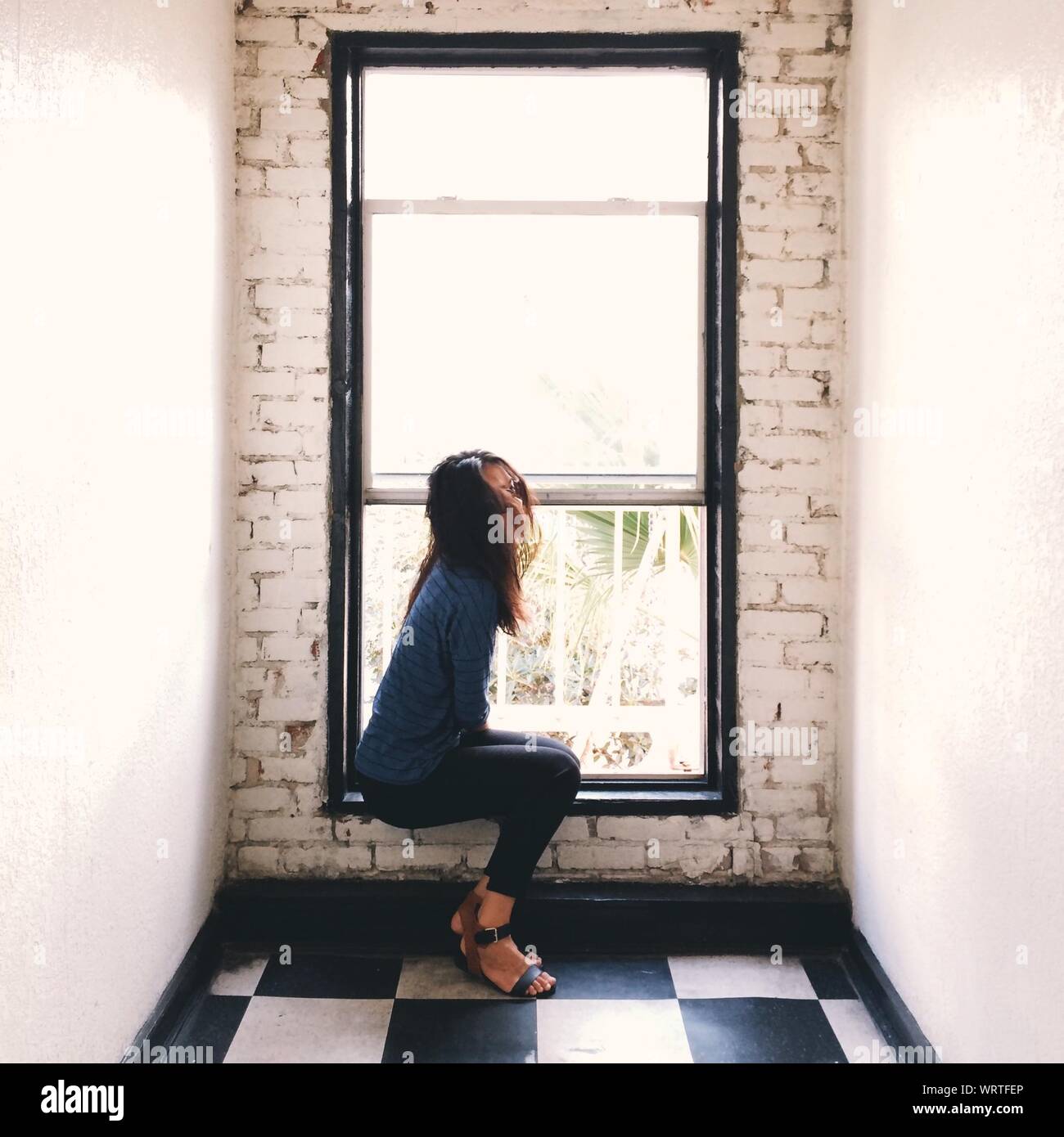 Sill young hi-res stock photography and images - Alamy