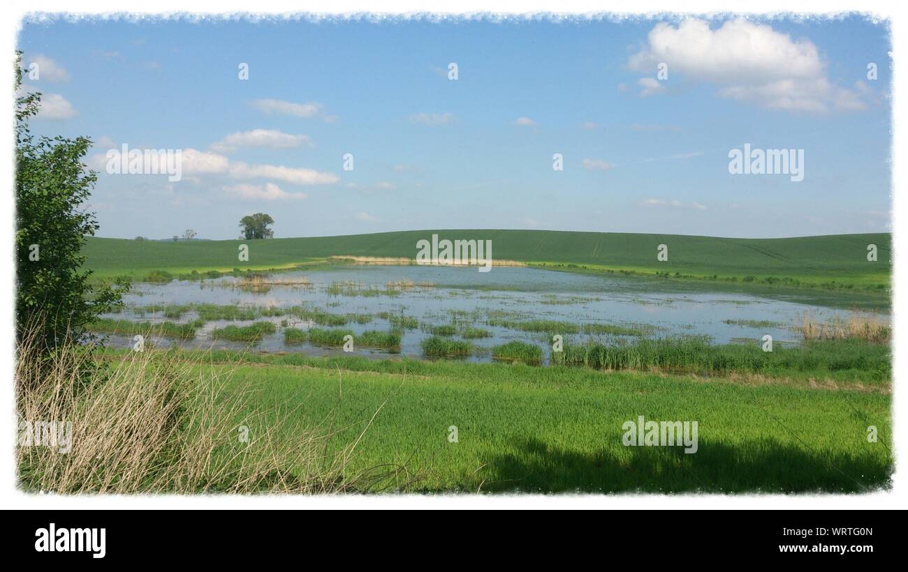 Wetland view Cut Out Stock Images & Pictures - Alamy