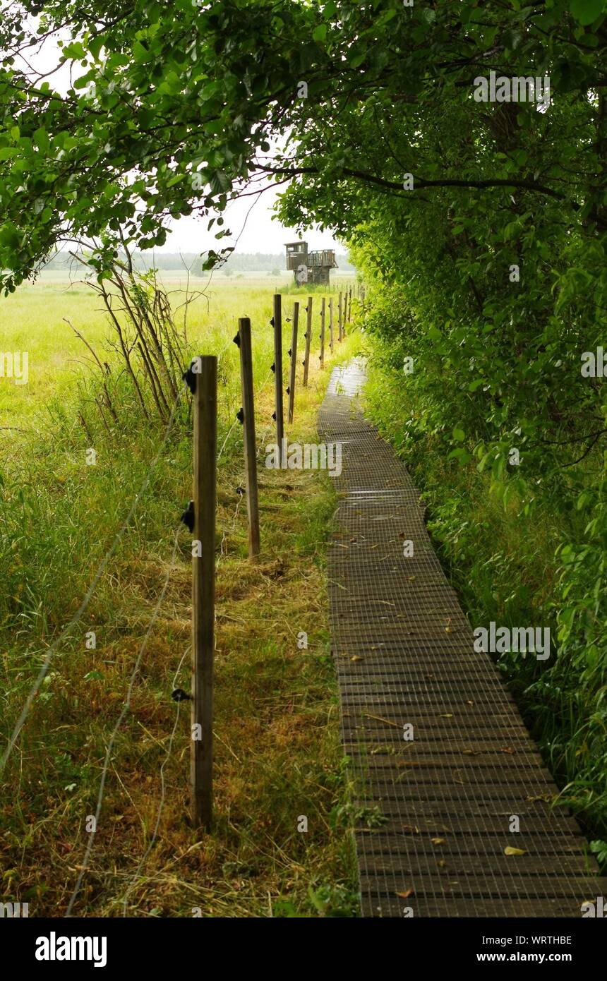 Pole pathway hi-res stock photography and images - Alamy