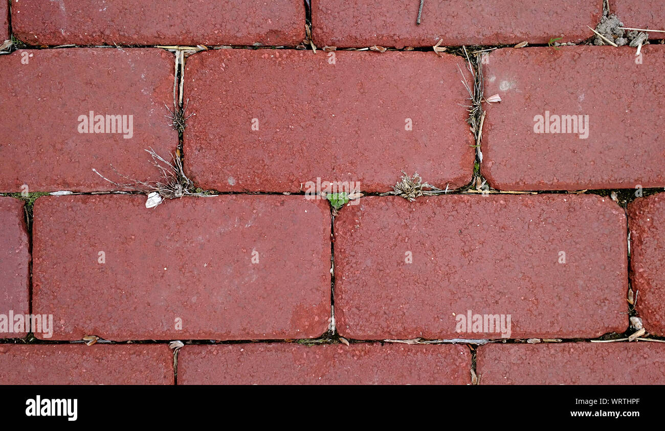 Weathered Brick Path Texture Stock Photo - Alamy