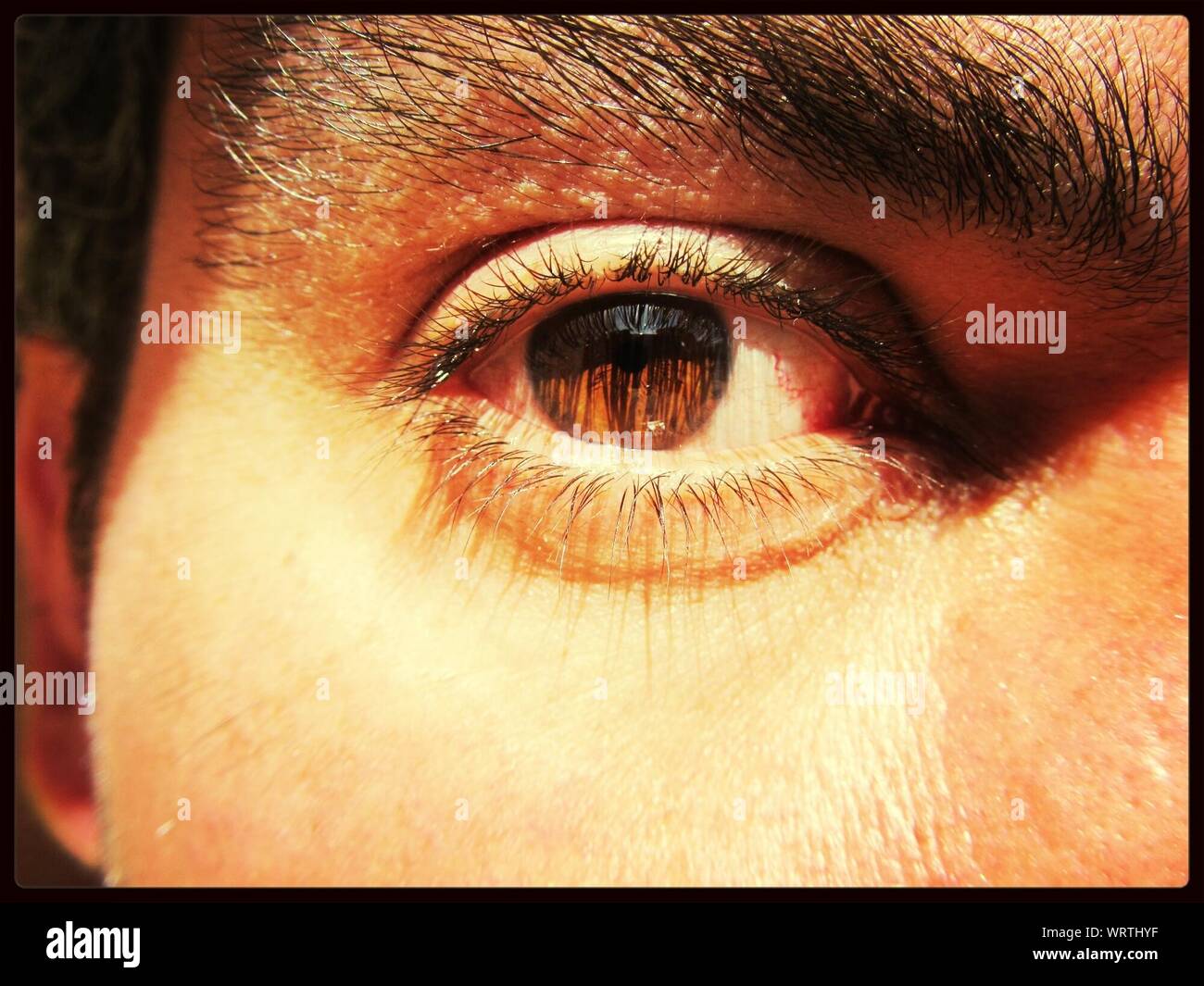 Eye brows hi-res stock photography and images - Alamy