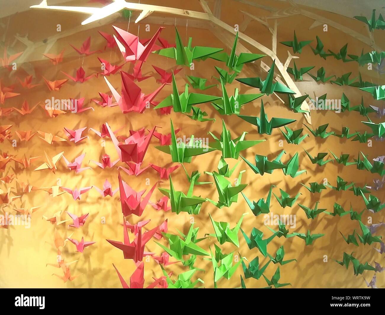 Large origami crane hi-res stock photography and images - Alamy