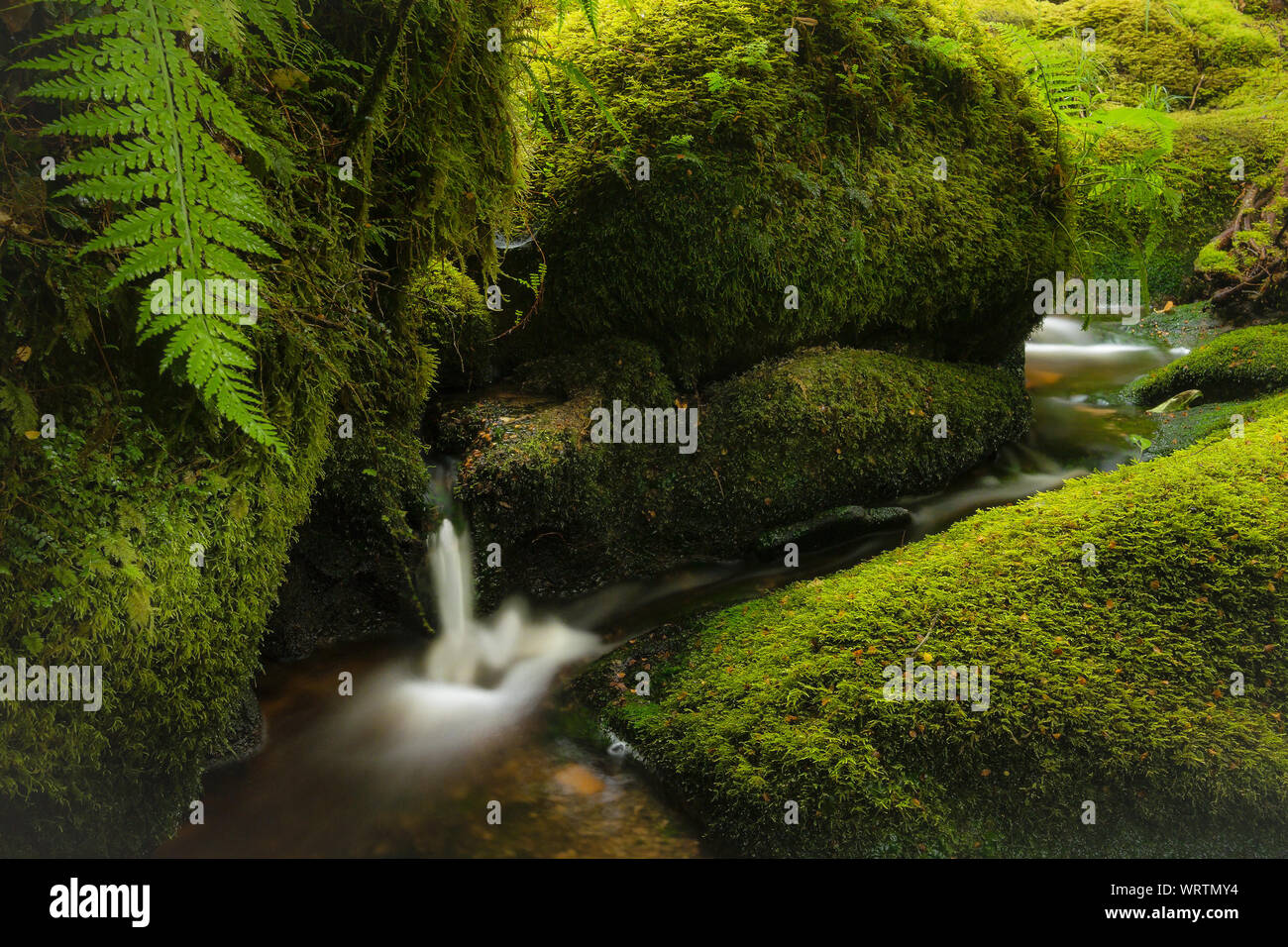 Stream with beautiful rocks hi-res stock photography and images - Alamy