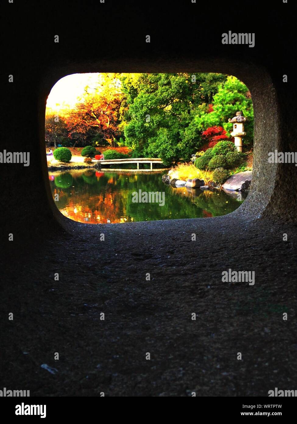 Reflection of tree in window hi-res stock photography and images - Alamy