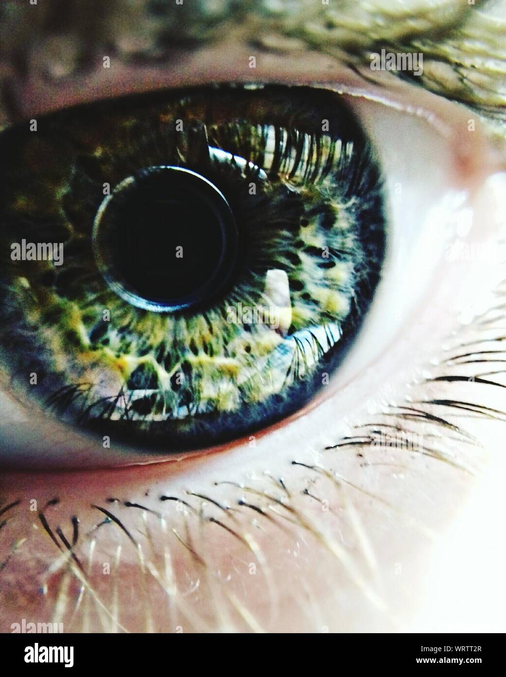 Macro of human eye hi-res stock photography and images - Alamy