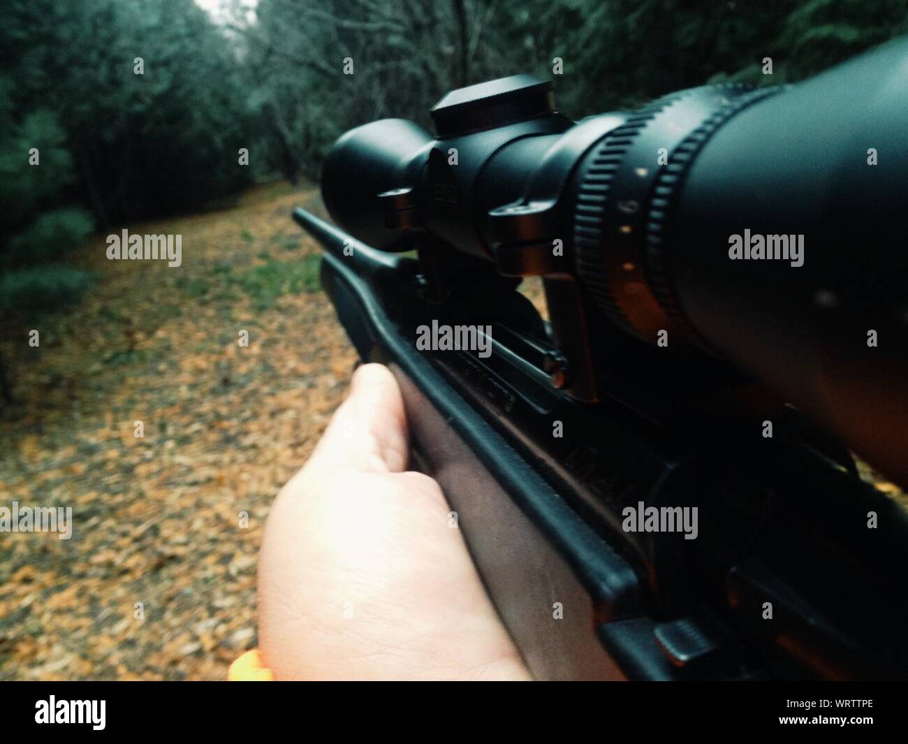 One person forest hi-res stock photography and images - Alamy