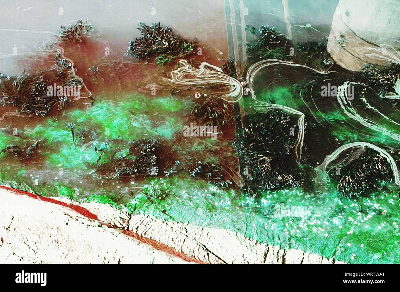 Contaminated water hi-res stock photography and images - Alamy