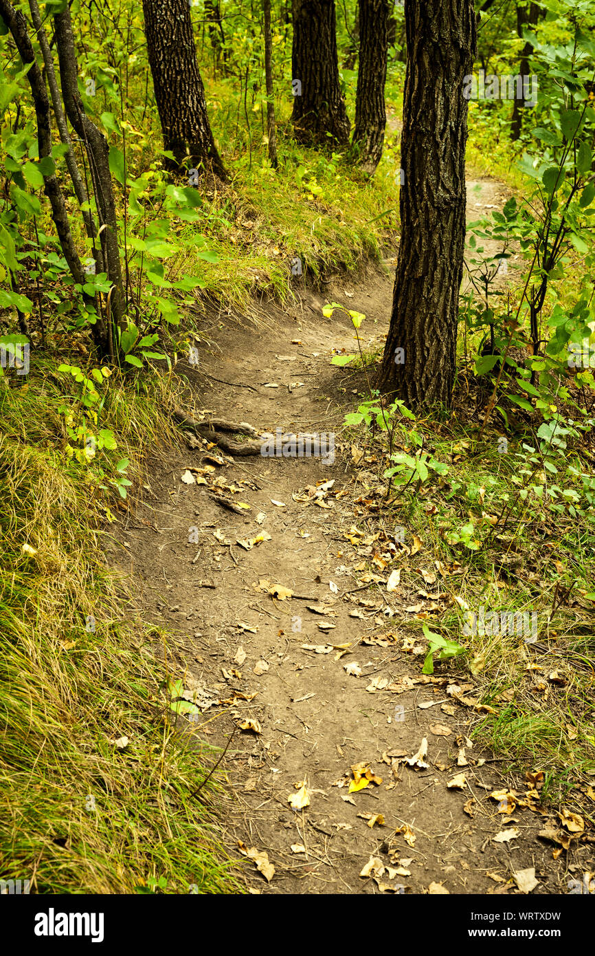 Foot color texture hi-res stock photography and images - Alamy