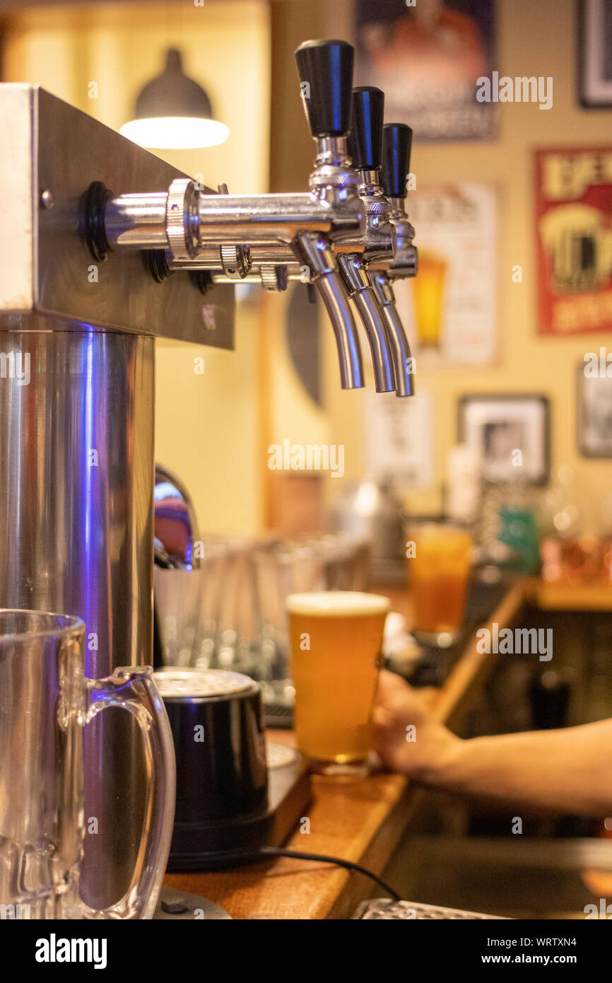 Hand of bartender pouring a large lager beer in tap Stock Photo - Alamy