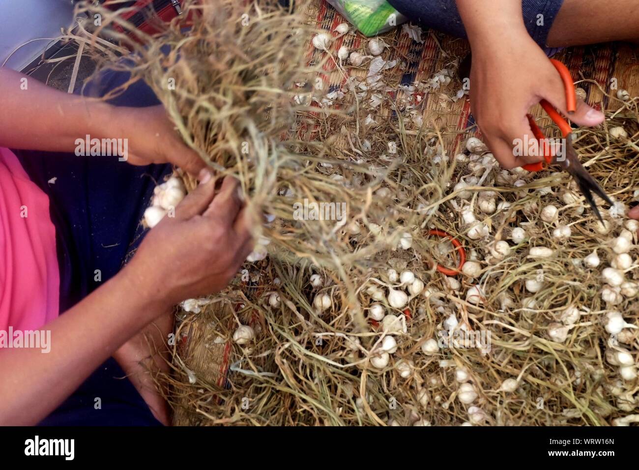 Tying ropes hi-res stock photography and images - Alamy