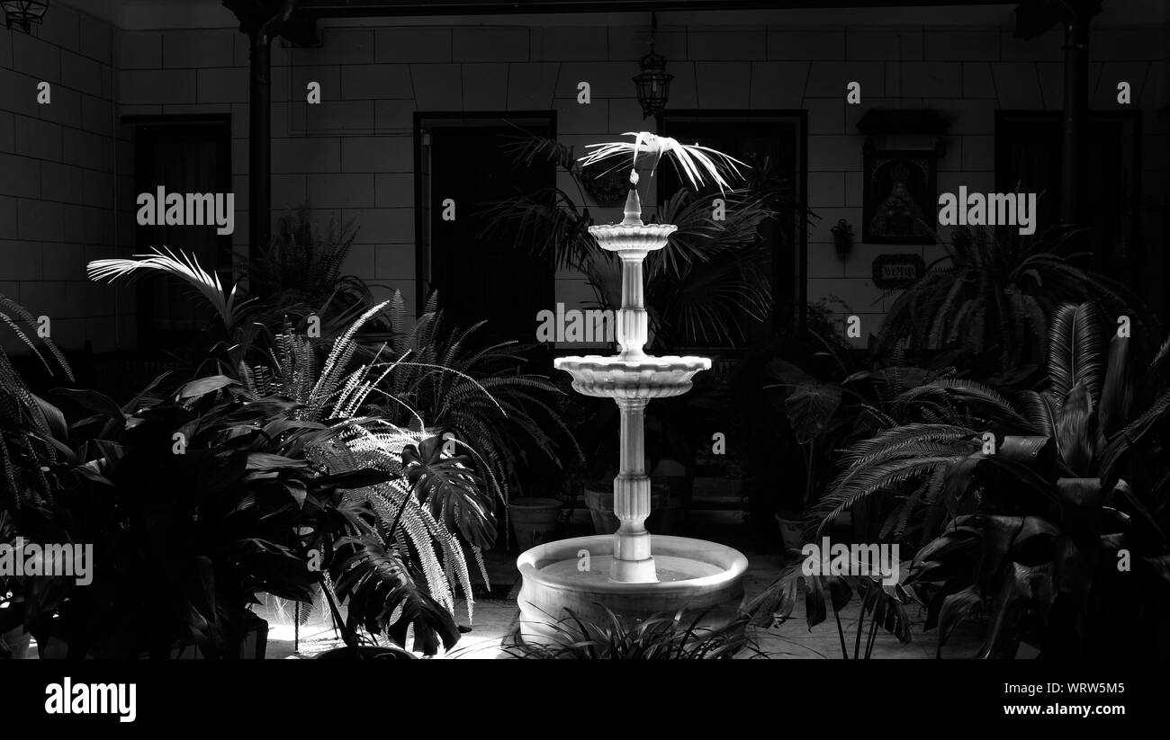 Formal water garden hi-res stock photography and images - Alamy