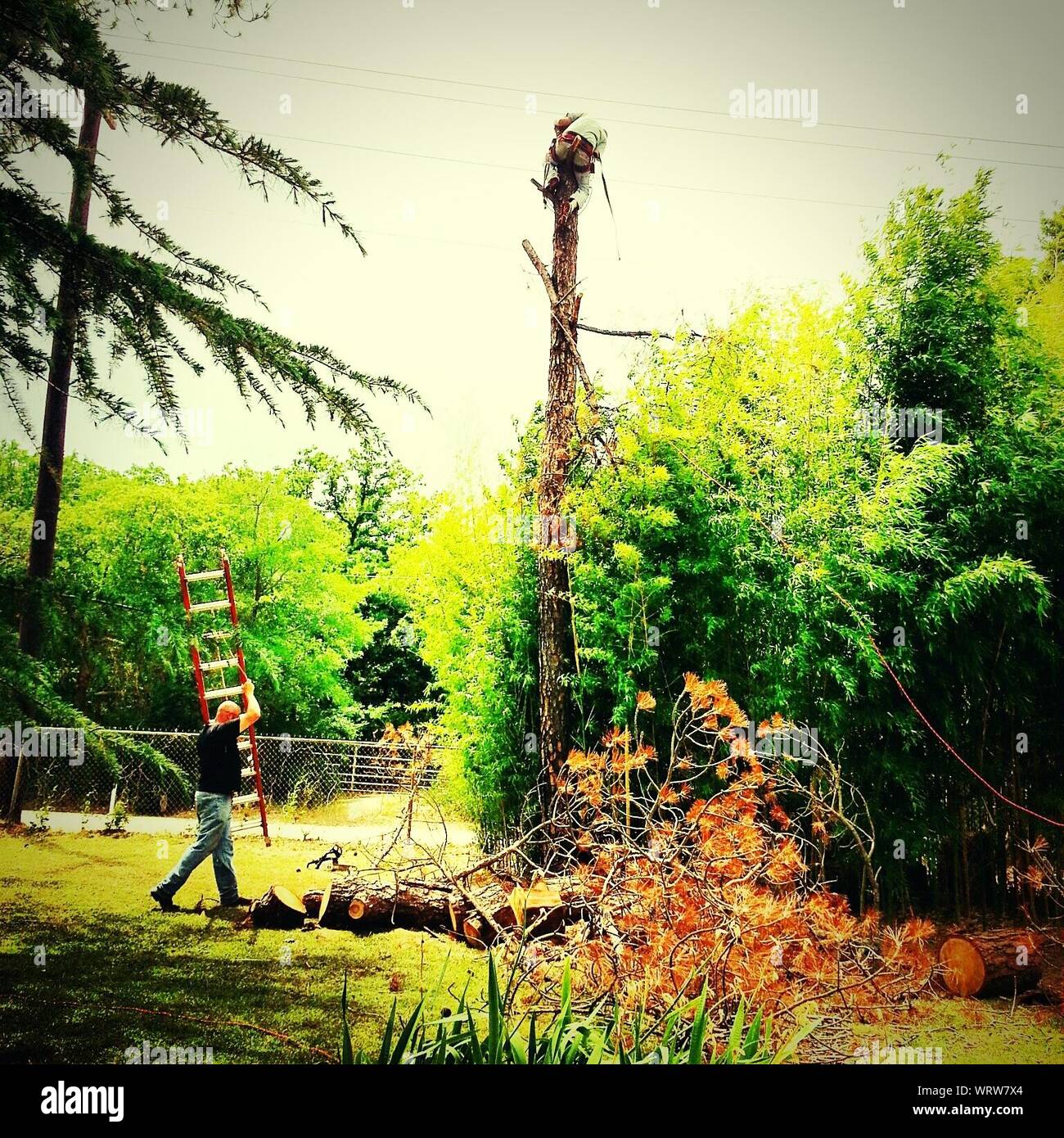 Man made ladder hi-res stock photography and images - Alamy