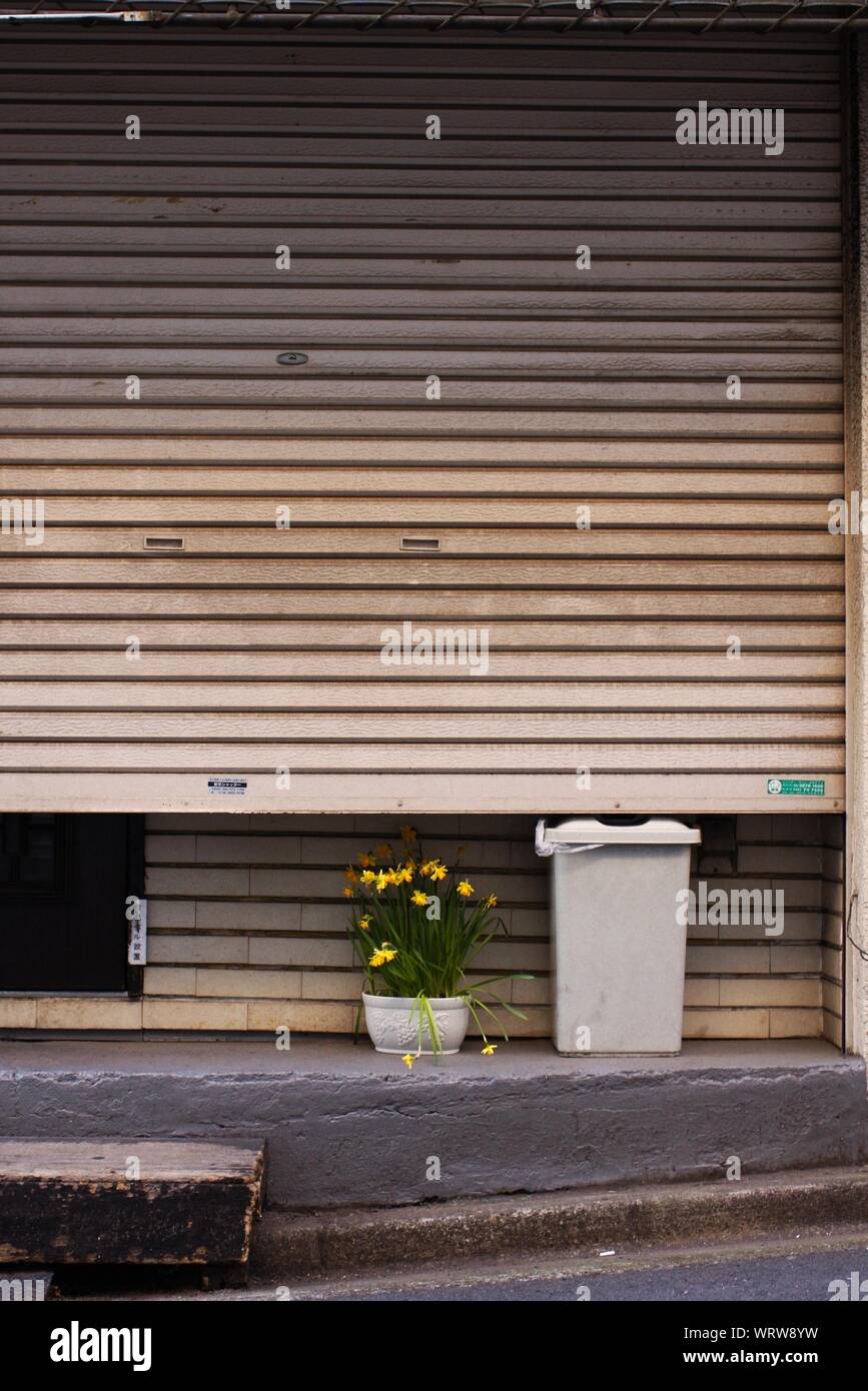 Garbage flower hi-res stock photography and images - Alamy