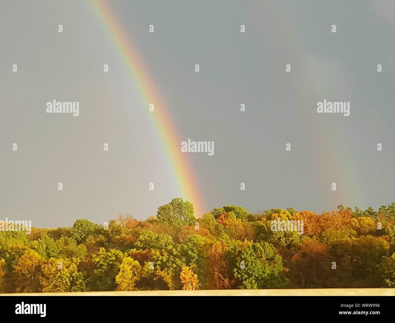 Rainbow Over Trees Stock Photo - Alamy