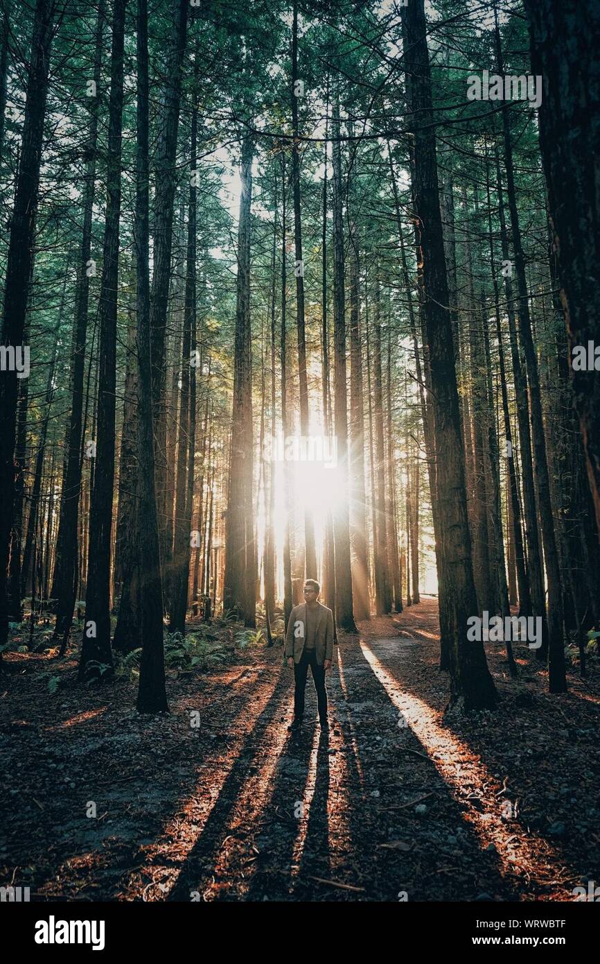 Tall Shadow Man High Resolution Stock Photography and Images - Alamy