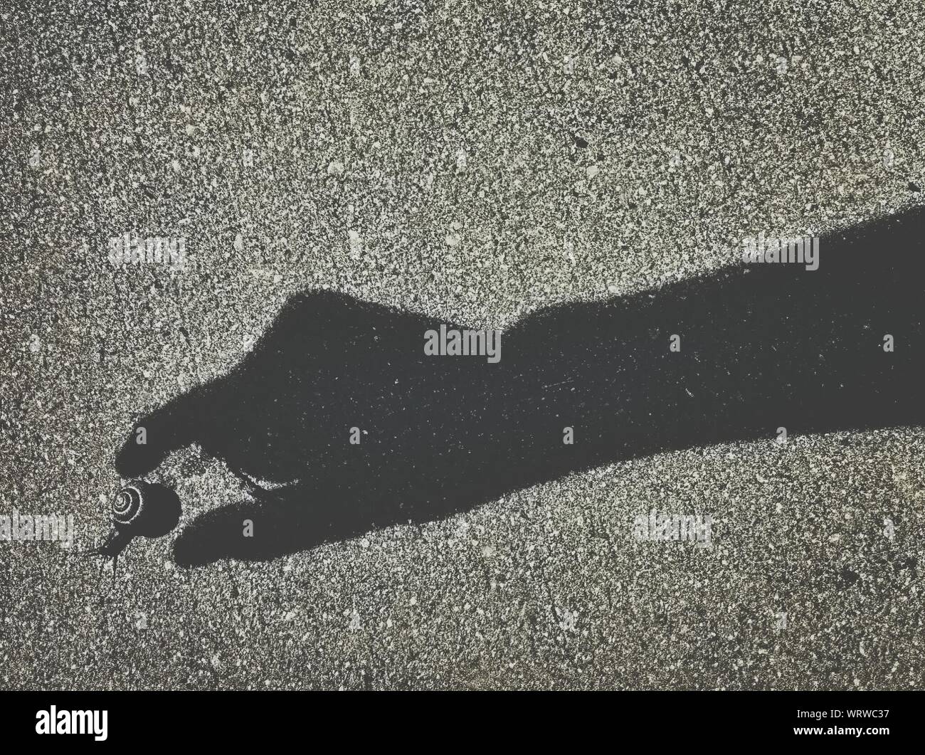 Hand animal shadow hi-res stock photography and images - Alamy