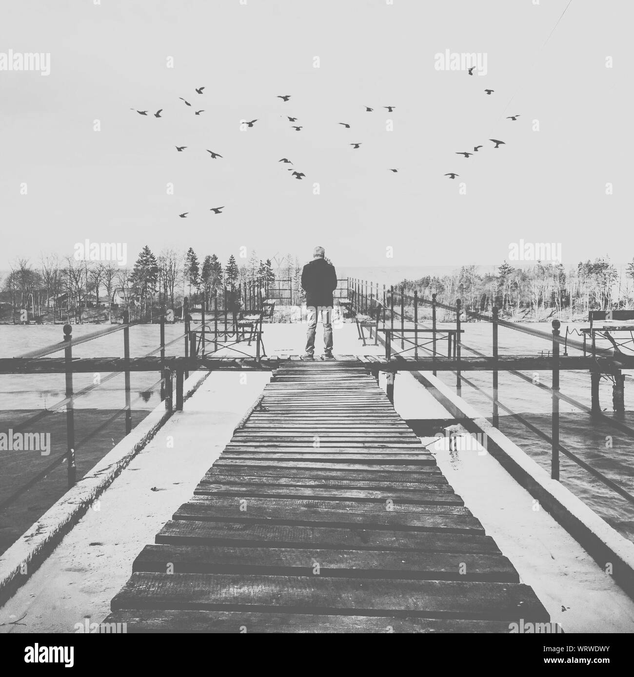 For watching birds hi-res stock photography and images - Alamy