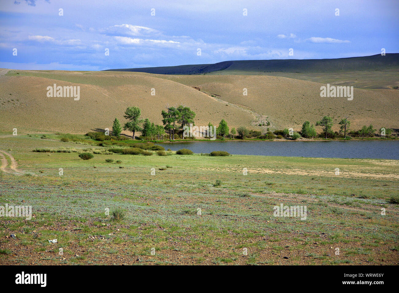 A fragment of a lake in the intermontane hollow in the steppe. Altai ...