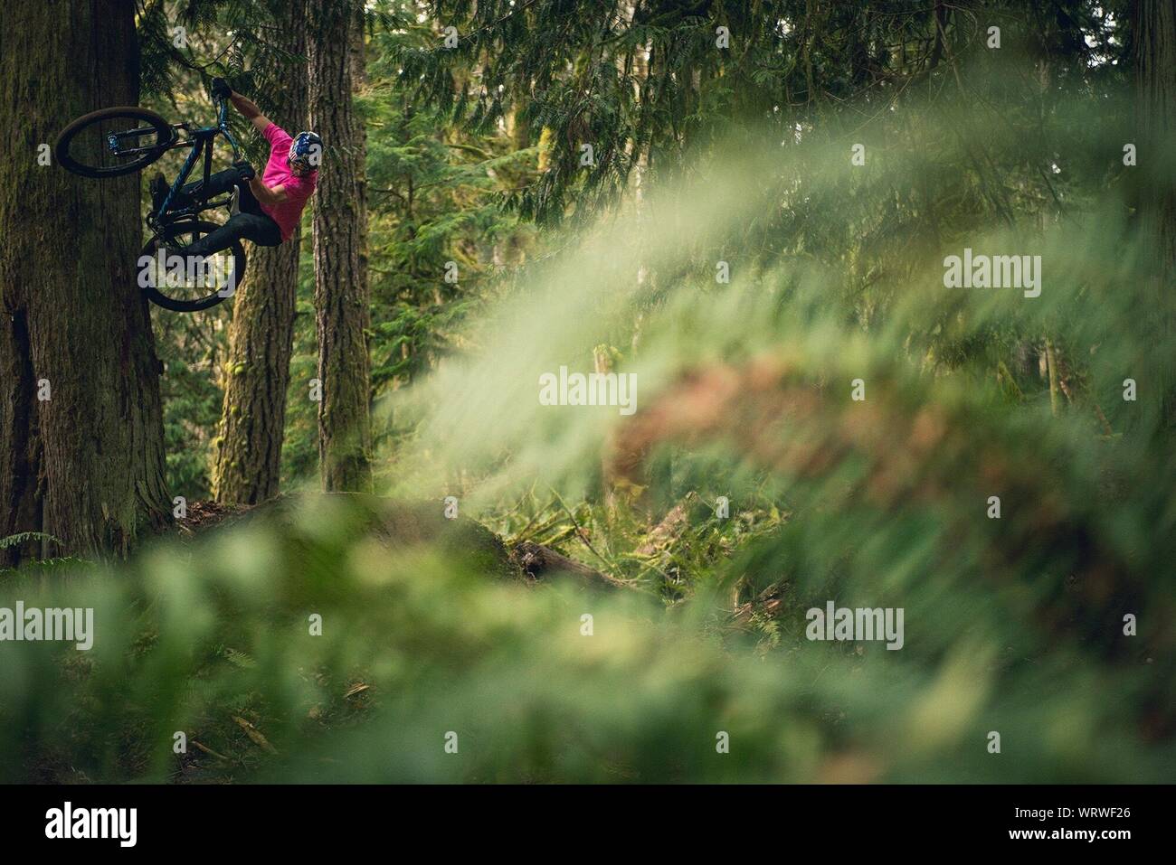 Person riding bike hi-res stock photography and images - Alamy