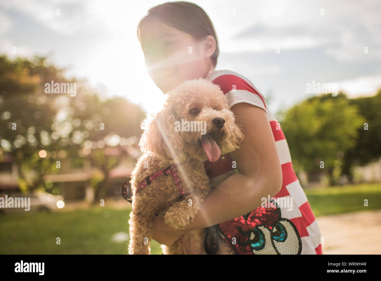 Young girl and poodle hi-res stock photography and images - Alamy