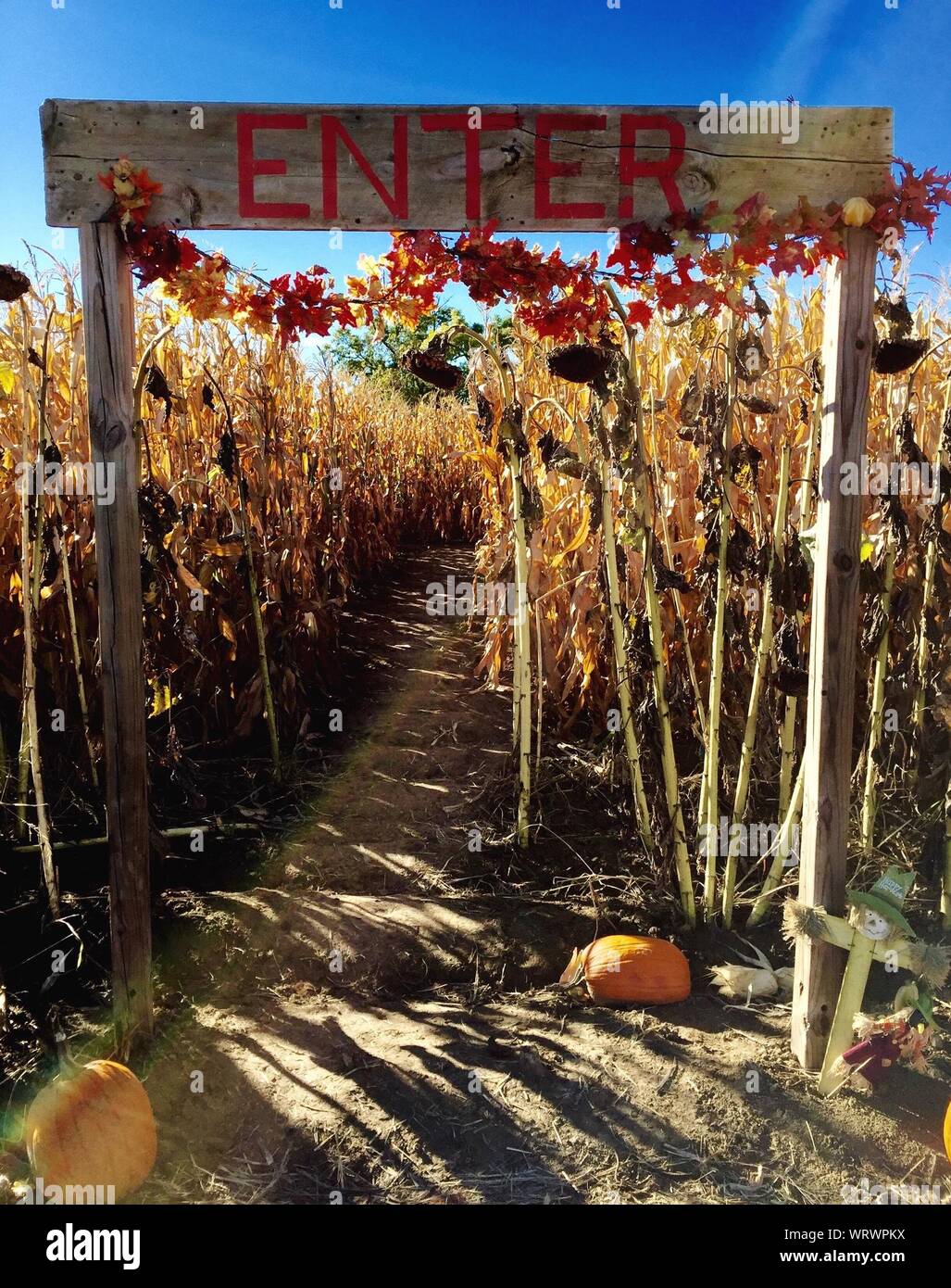 Entrance to field hi-res stock photography and images - Alamy