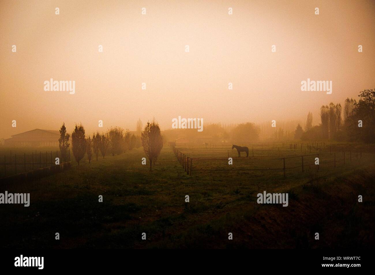 Ranch silhouette hi-res stock photography and images - Alamy