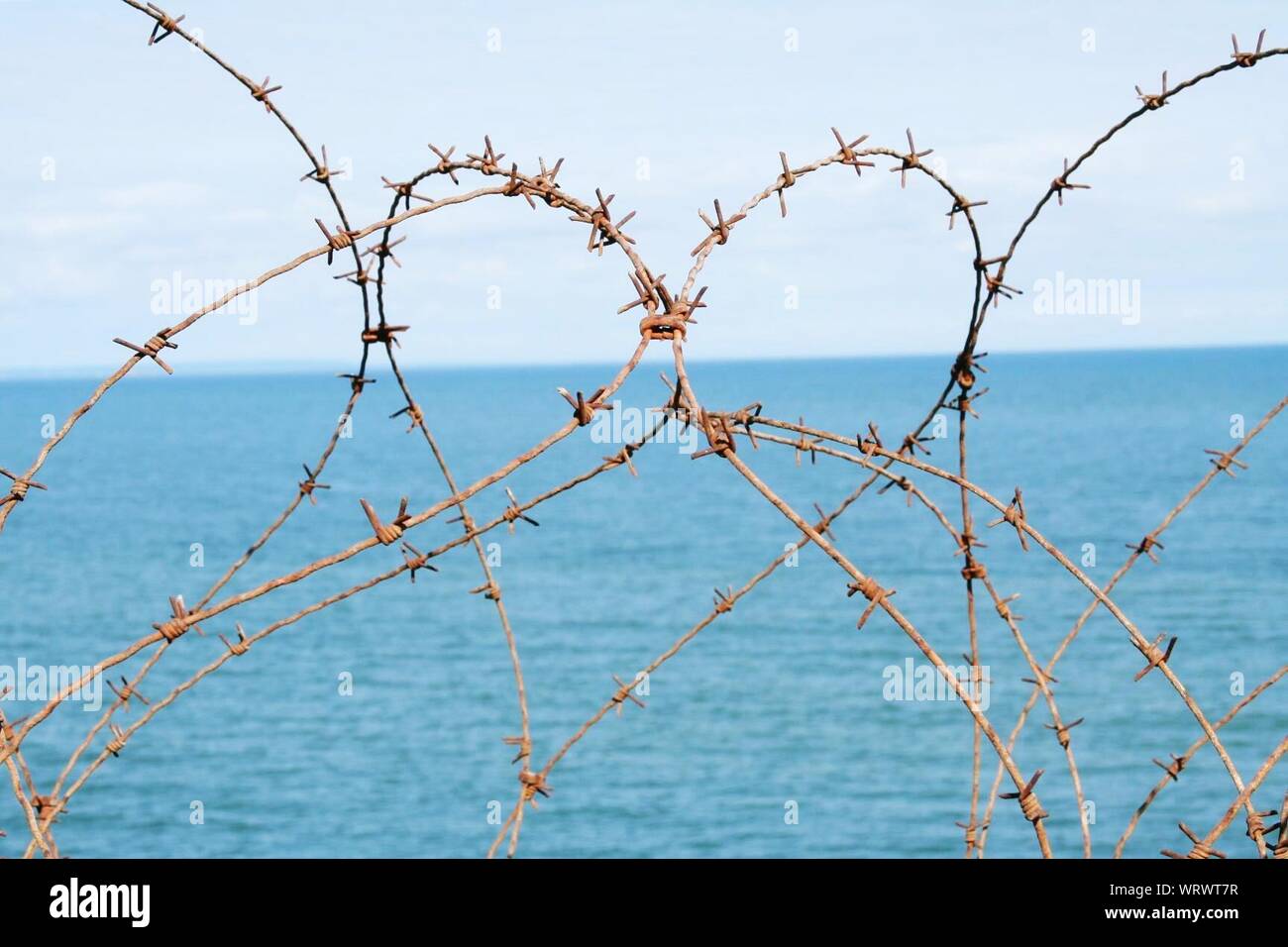 Heart barbed wire hi-res stock photography and images - Alamy