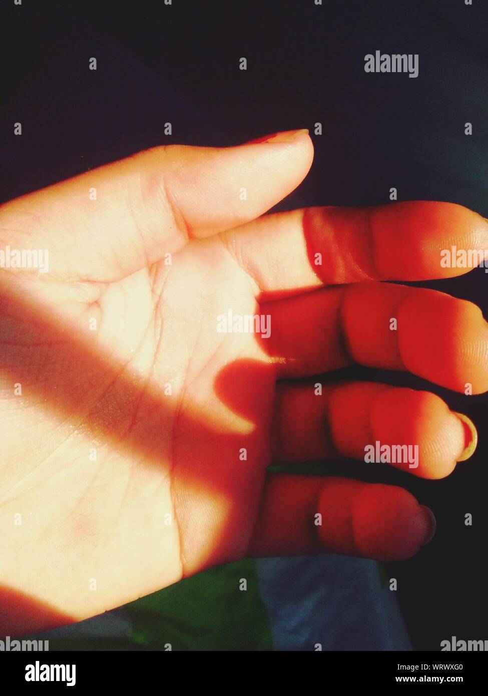 Women hand, palm, shadow hi-res stock photography and images - Alamy