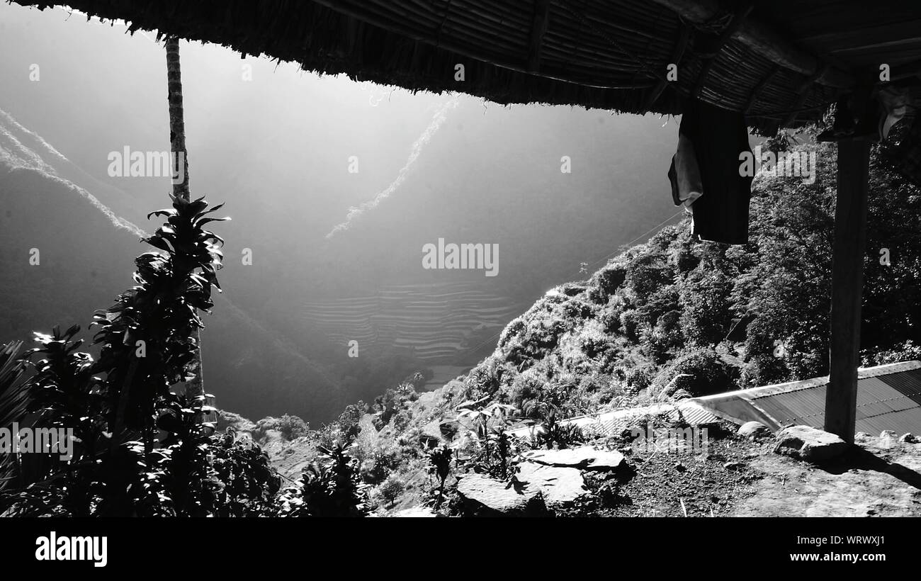 Rice Field Hut High Resolution Stock Photography and Images - Alamy