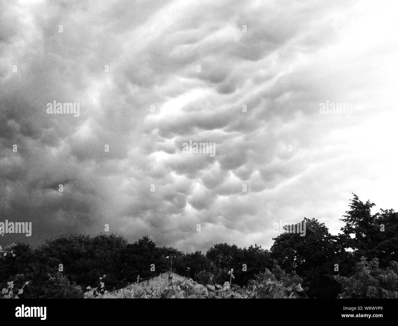 Over treetops hi-res stock photography and images - Alamy