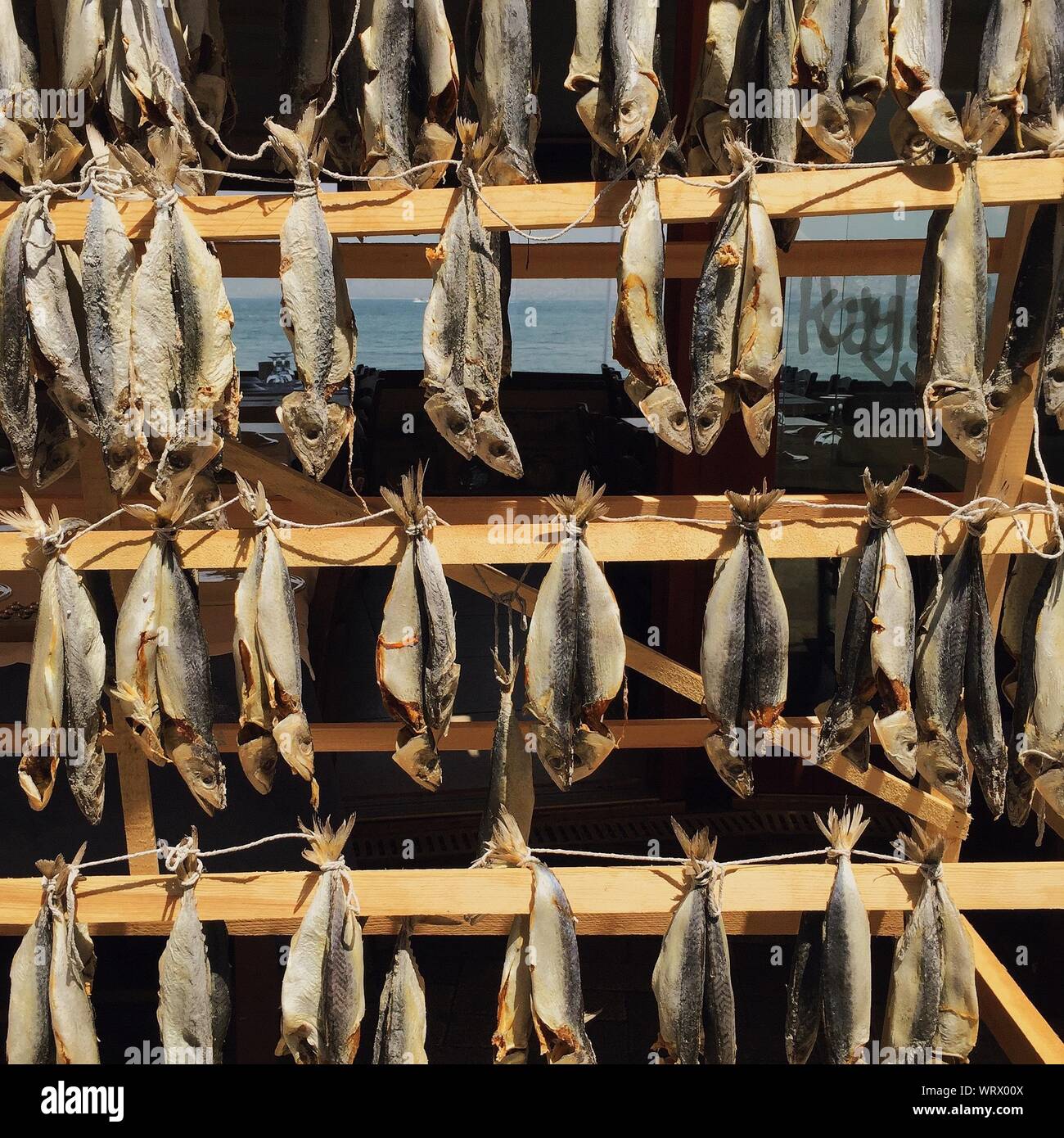 Fish structure hi-res stock photography and images - Alamy