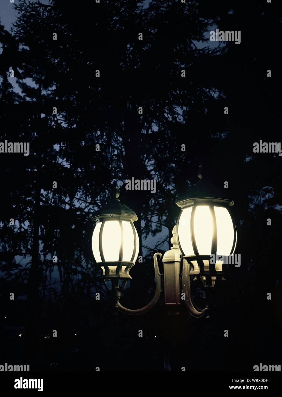 Tree lit by lamp post hi-res stock photography and images - Alamy