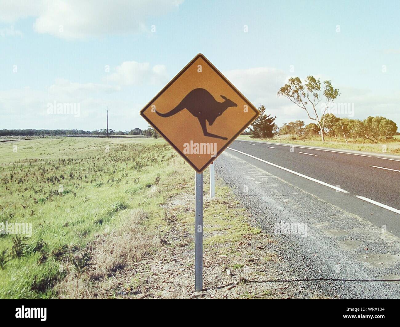 Kangaroo warning sign on road hi-res stock photography and images - Alamy