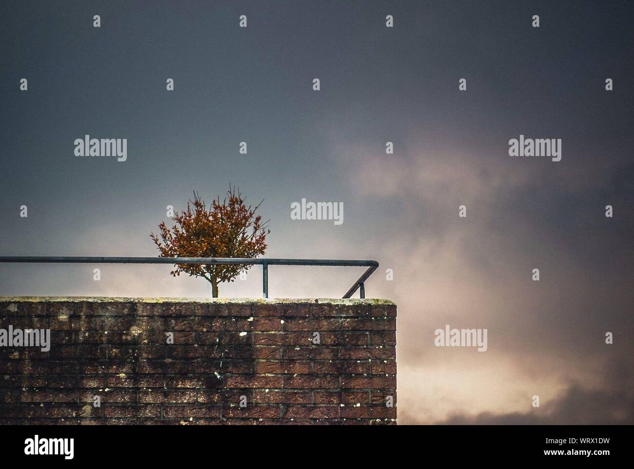 High brick wall hi-res stock photography and images - Alamy