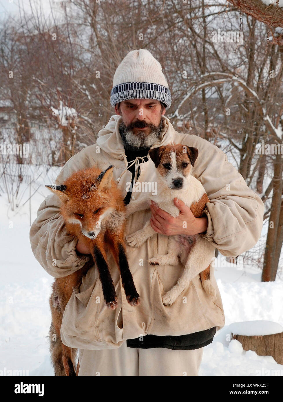 Warm fox hi-res stock photography and images - Alamy