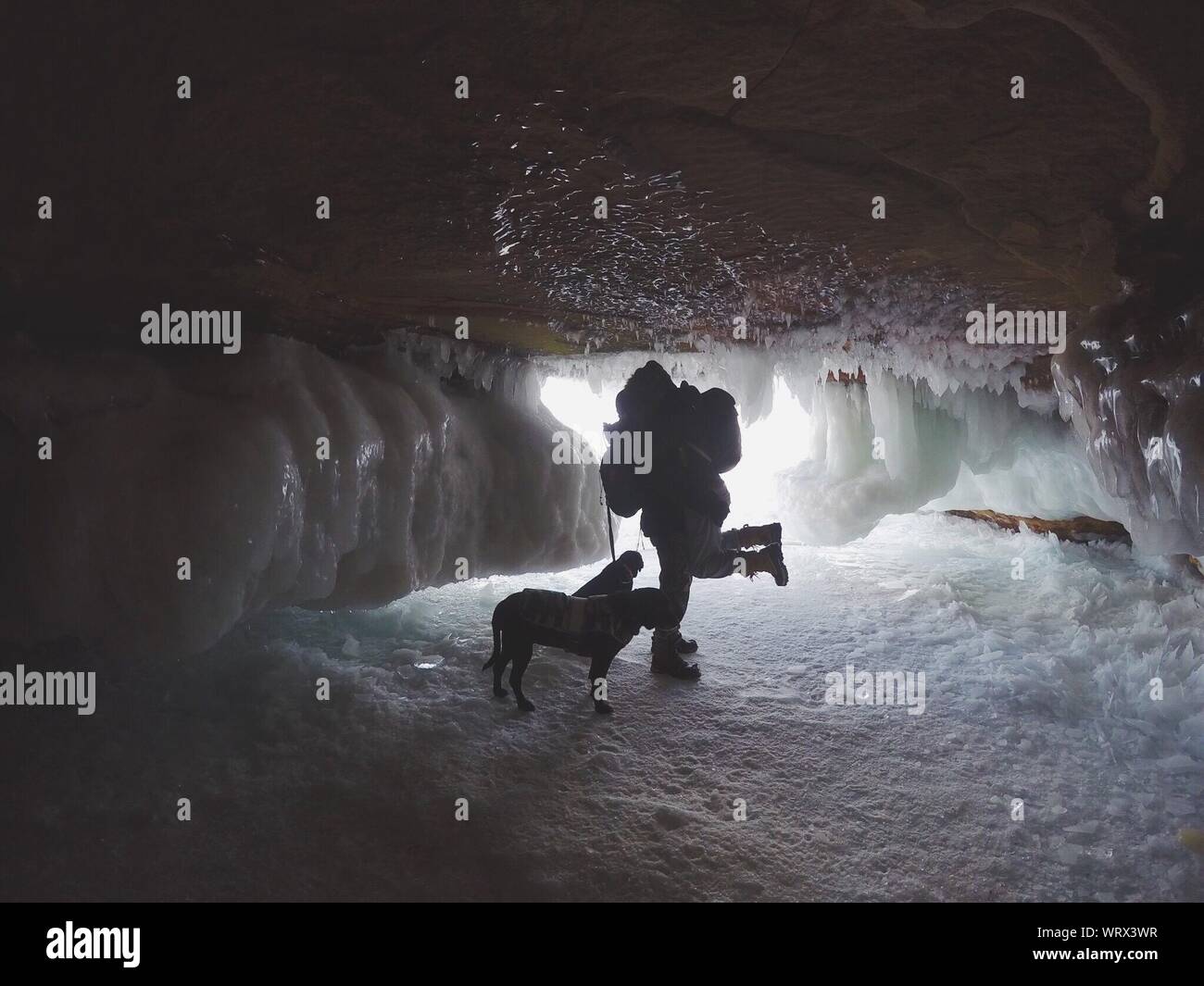 Cave dog hi-res stock photography and images - Alamy