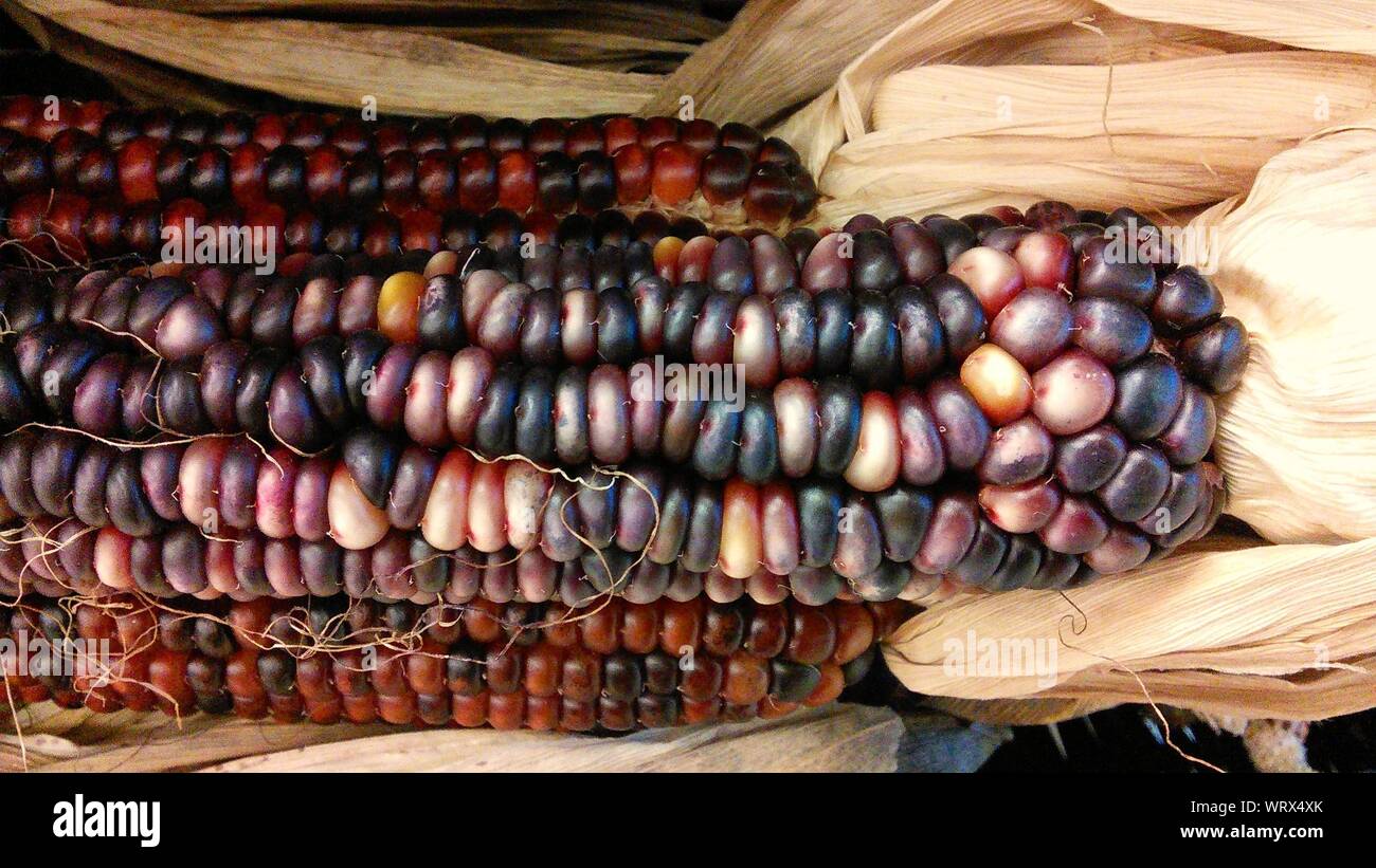 Roasted corn hi-res stock photography and images - Alamy