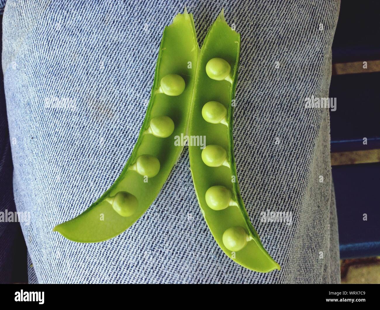 Lap Body Area High Resolution Stock Photography and Images - Alamy