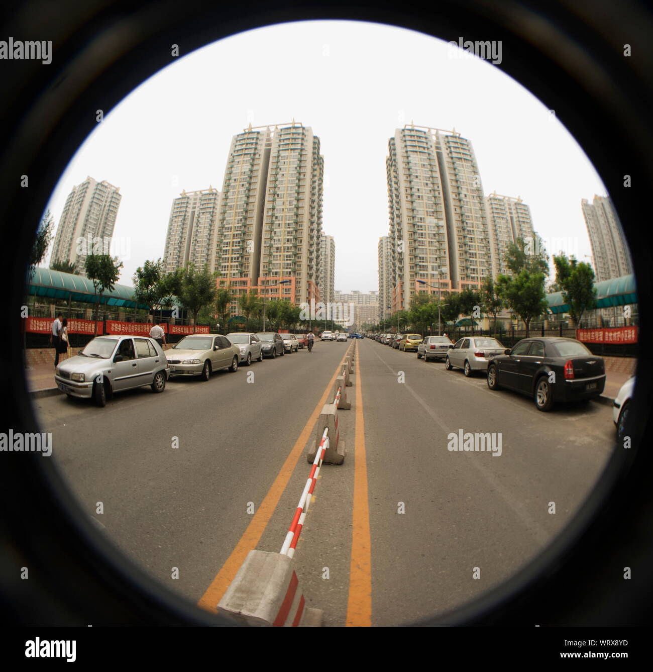 Fish Circle High Resolution Stock Photography and Images - Alamy