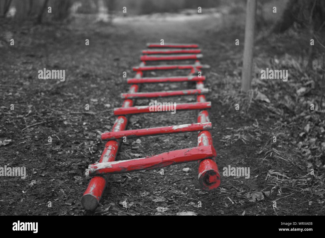 Focus on ladder hi-res stock photography and images - Alamy
