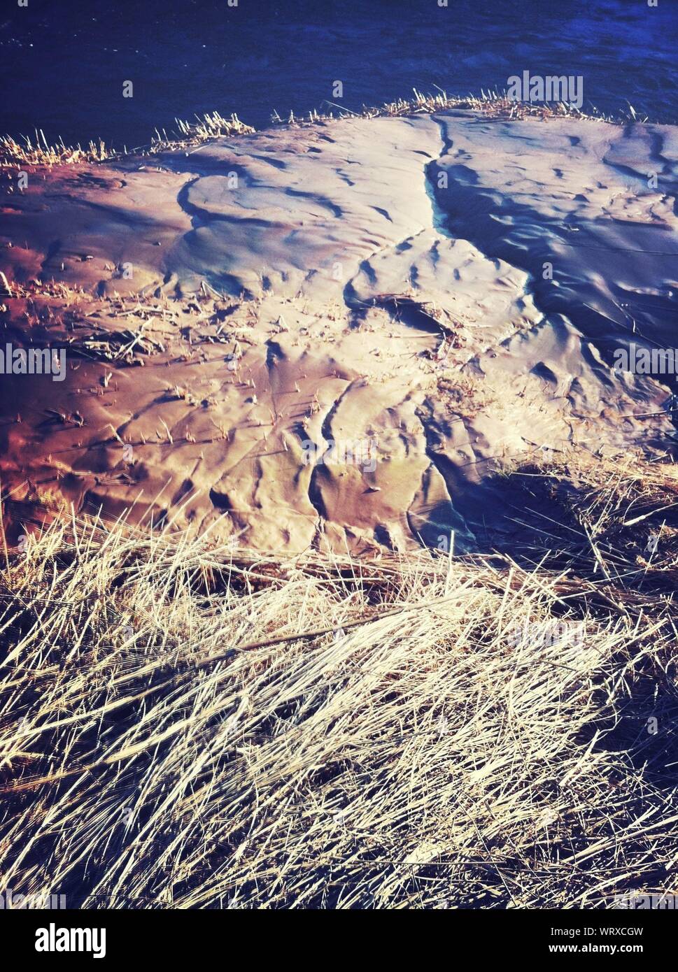 Grass on rock hi-res stock photography and images - Alamy