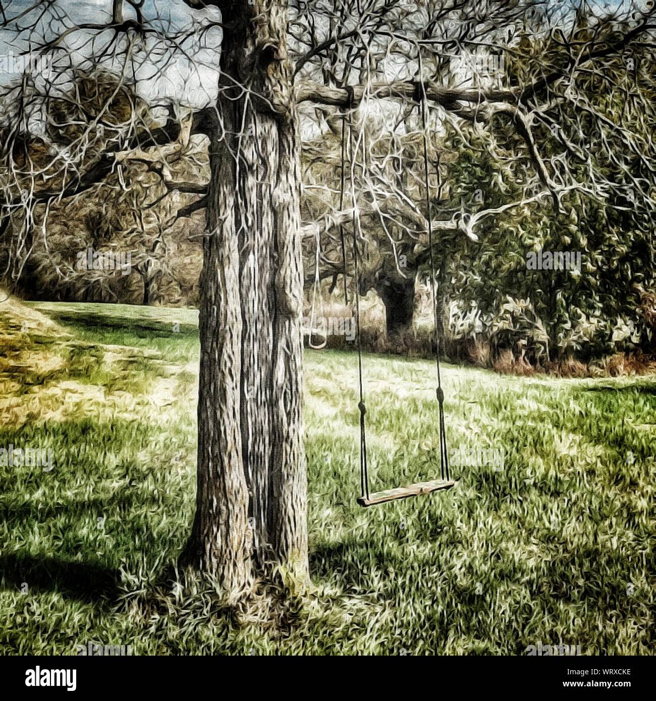 Empty tree swing hi-res stock photography and images - Alamy
