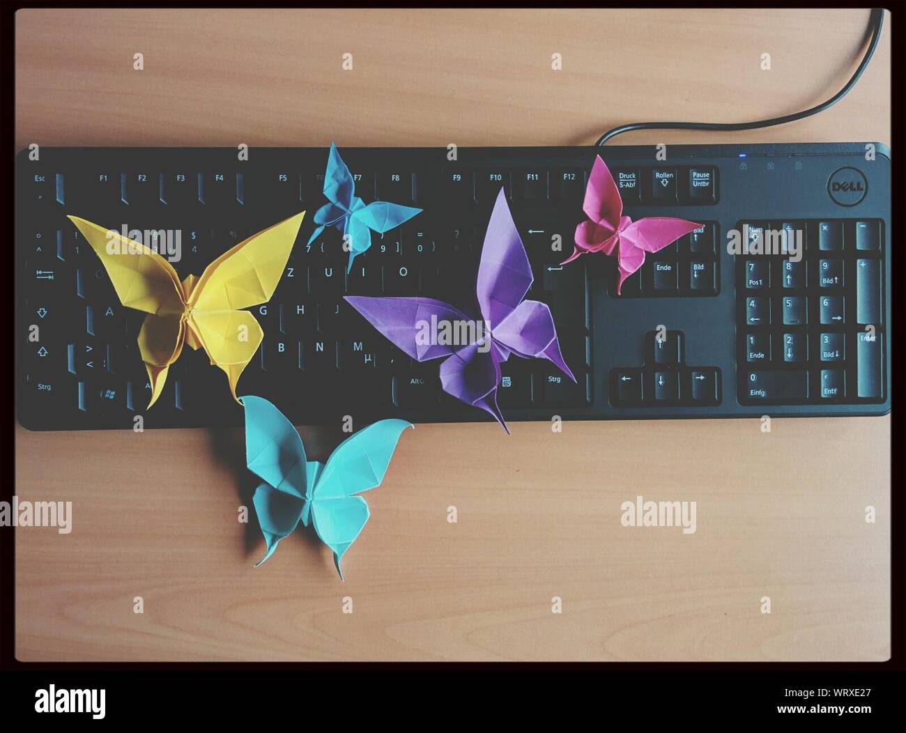 Origami Butterflies High Resolution Stock Photography and Images - Alamy