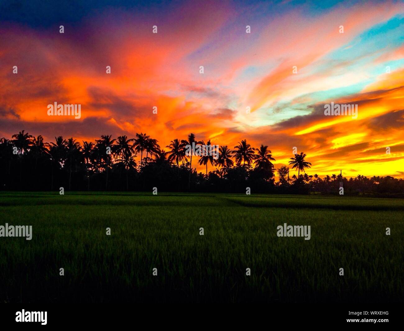 Beautiful farm view hi-res stock photography and images - Alamy