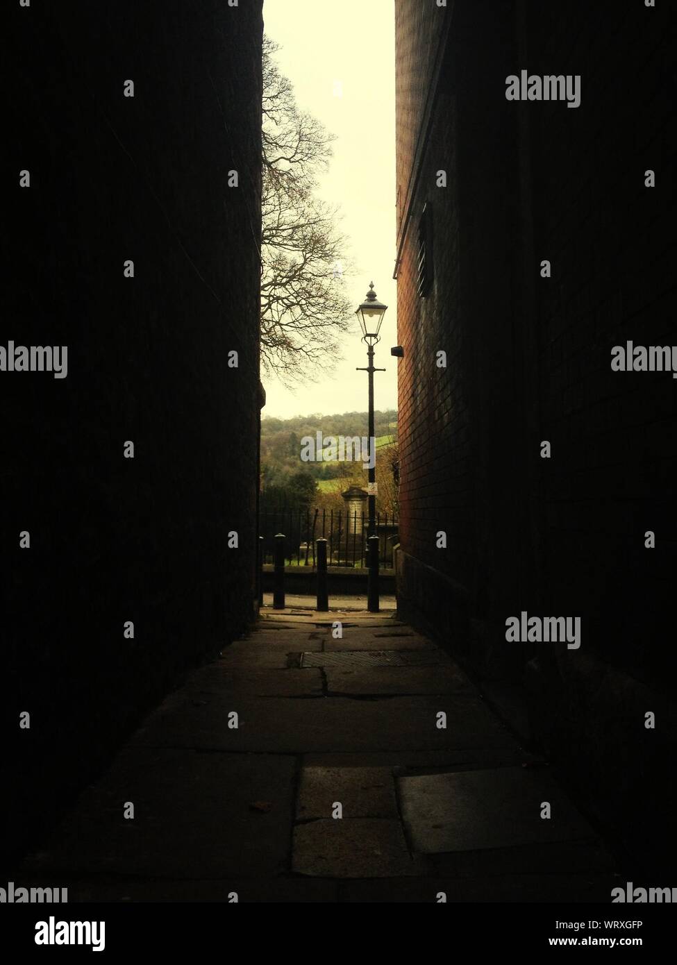 Dark Pathway High Resolution Stock Photography and Images - Alamy