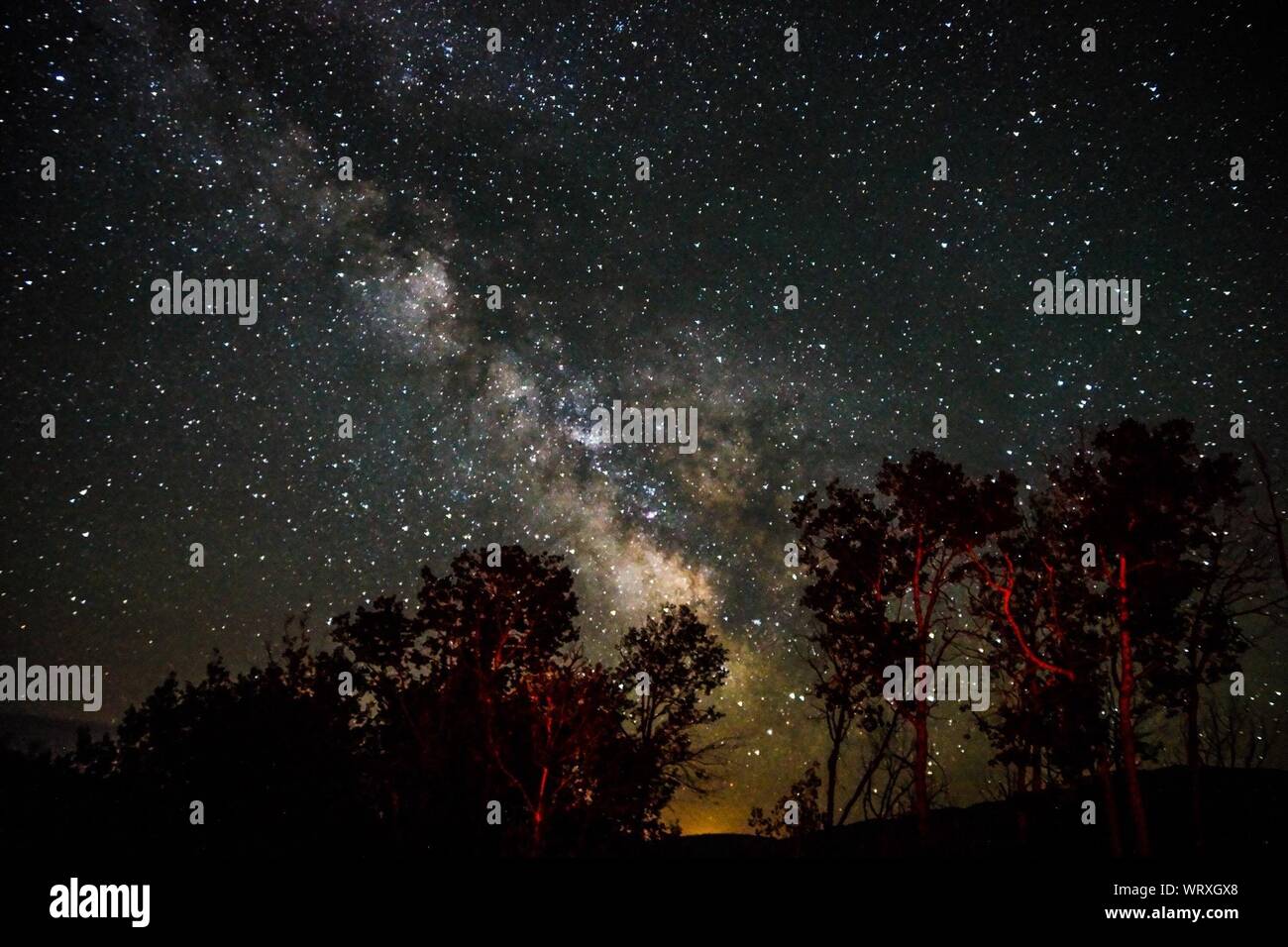 Milky way over trees hi-res stock photography and images - Alamy