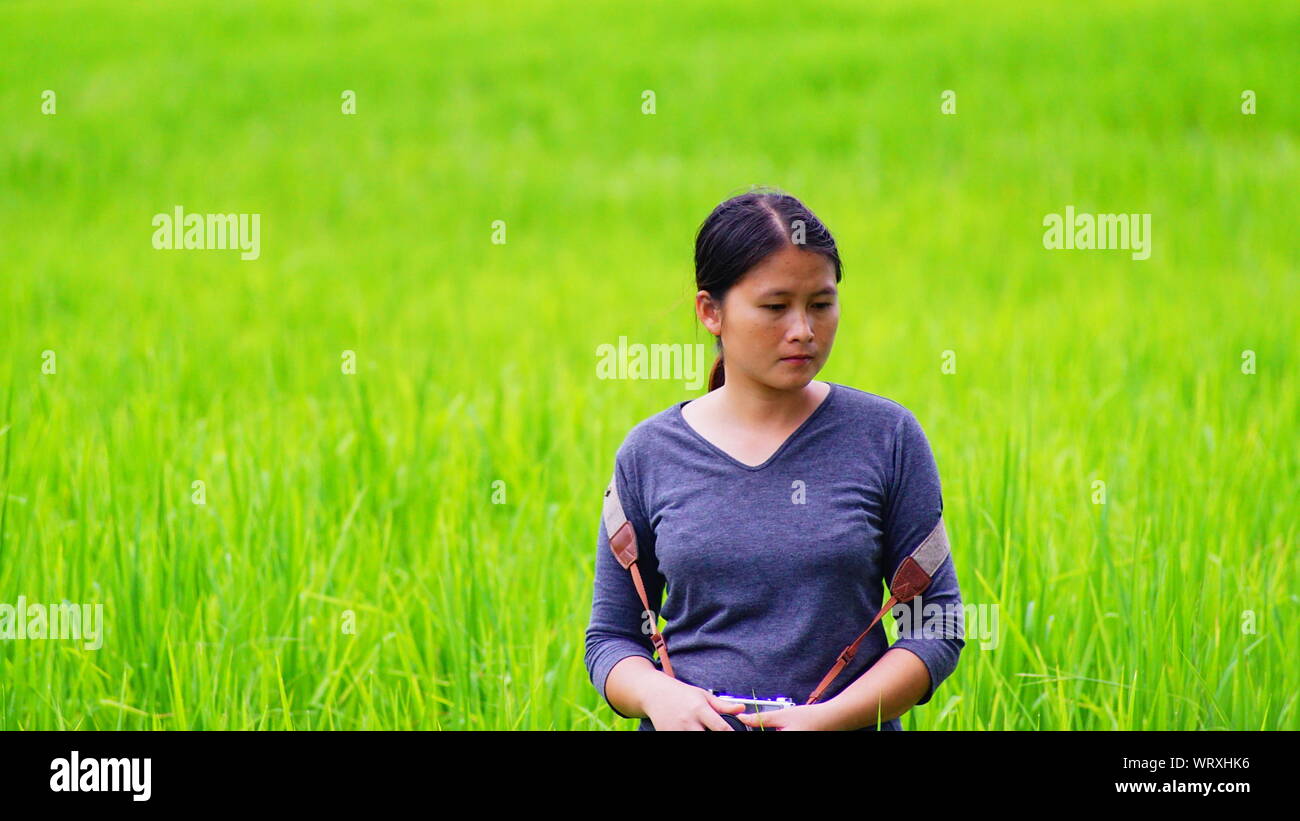 Portrait of a woman walking in a rice field photo Stock Photo - Alamy