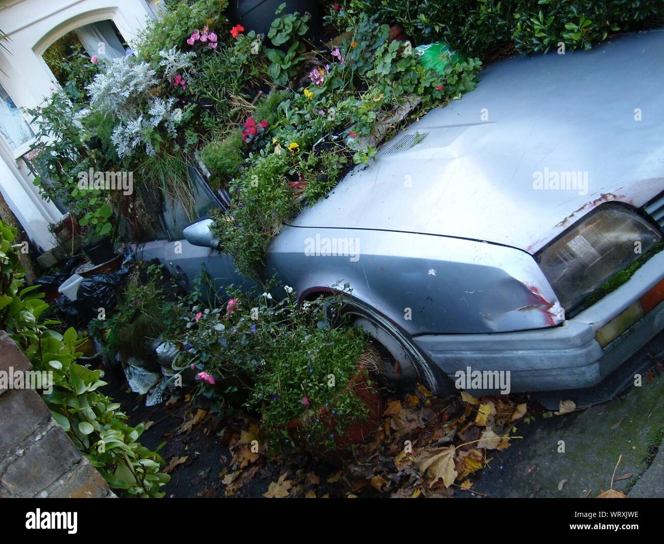 Overgrown by plants hi-res stock photography and images - Alamy